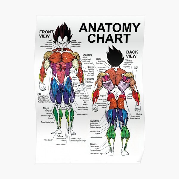 Goku Gym Posters | Redbubble