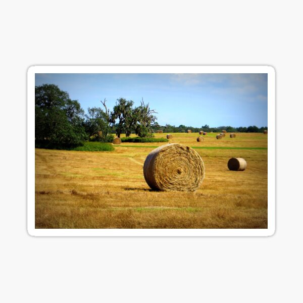 "Hay" Sticker by AuntDot | Redbubble