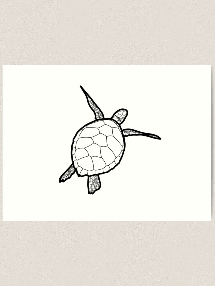 Minimalism Art Turtle Realistic Minimalist Sea Turtle Line