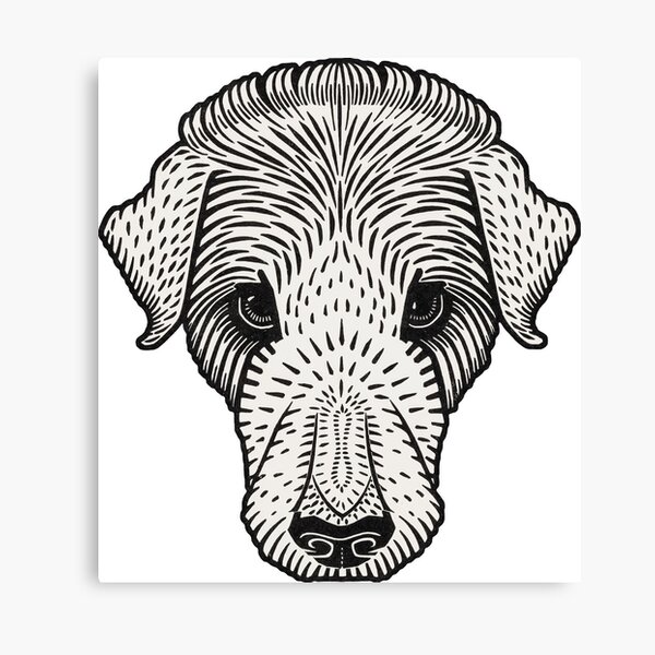 "Dog face" Canvas Print by grafiktrafik | Redbubble