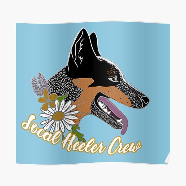 "Socal Heeler Crew (Tri Color Blue)" Poster by GMidnight-pet | Redbubble