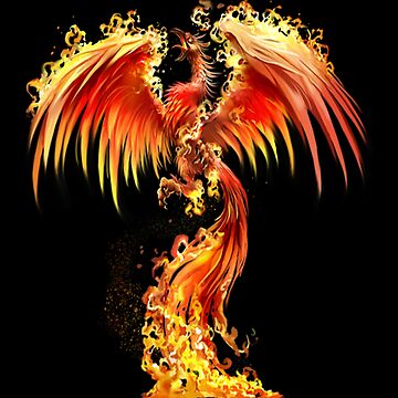 "Fantasy Orange Fire Phoenix Rises From The Fiery Ashes" Sticker for ...