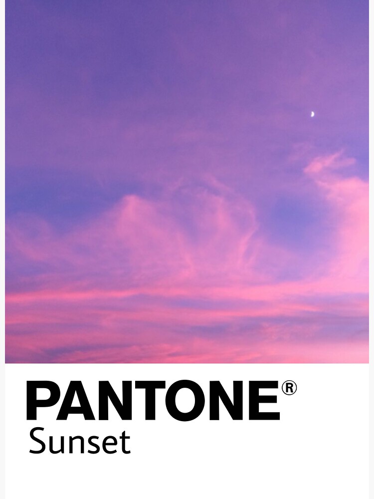 "Pantone Sunset" Sticker for Sale by 3Wang | Redbubble