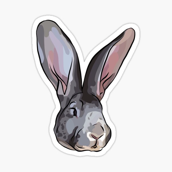 "Flemish Giant Rabbit " Sticker for Sale by noelhill | Redbubble