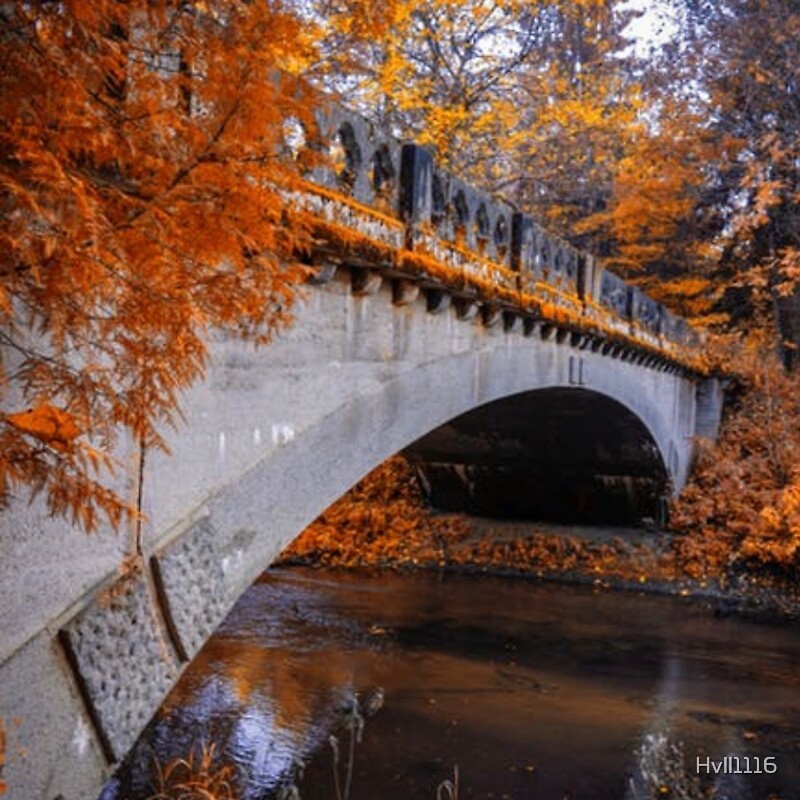 "Bridge with fall colored leaves" by Hvll1116 | Redbubble