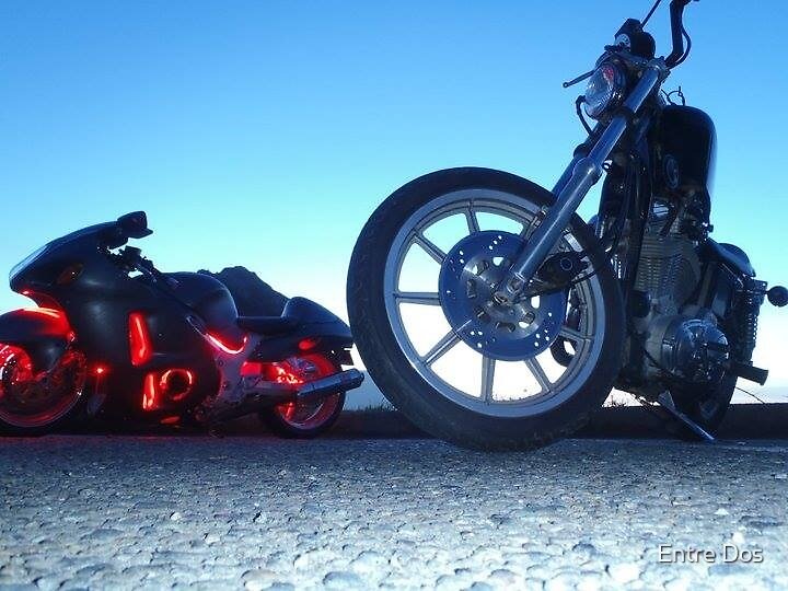 "Hayabusa and Harley" by runjohnray | Redbubble