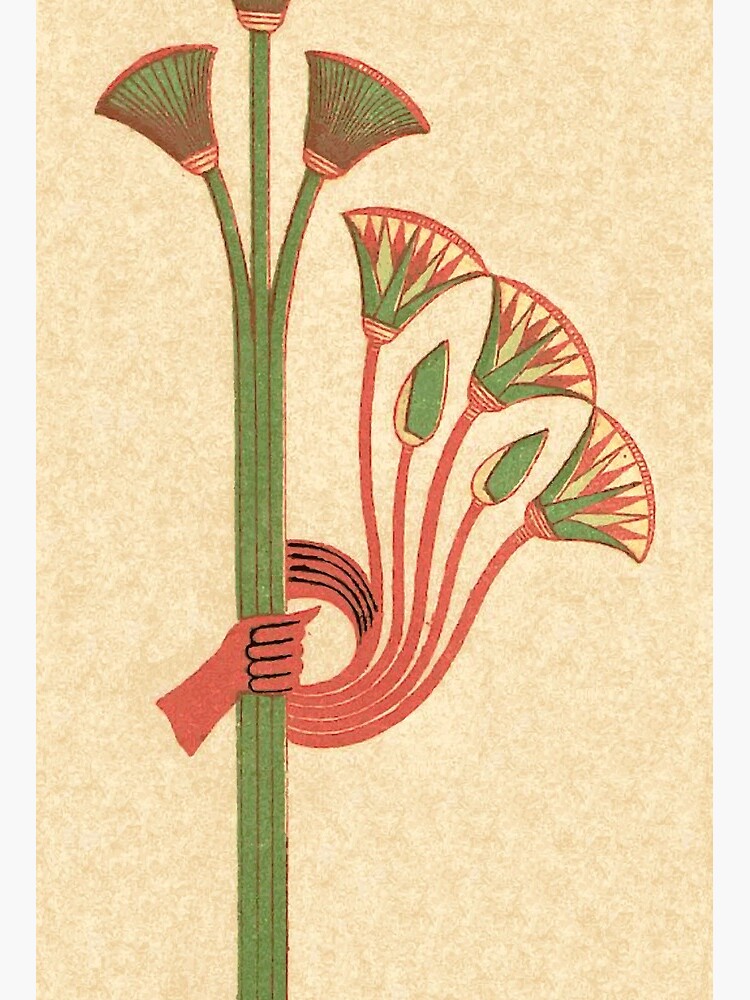 "Egyptian Papyrus Plants and Lotus Flowers" Art Board Print for Sale by ...