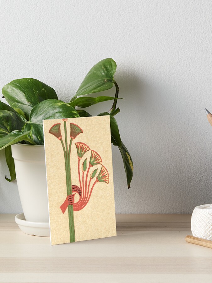 "Egyptian Papyrus Plants and Lotus Flowers" Art Board Print for Sale by ...