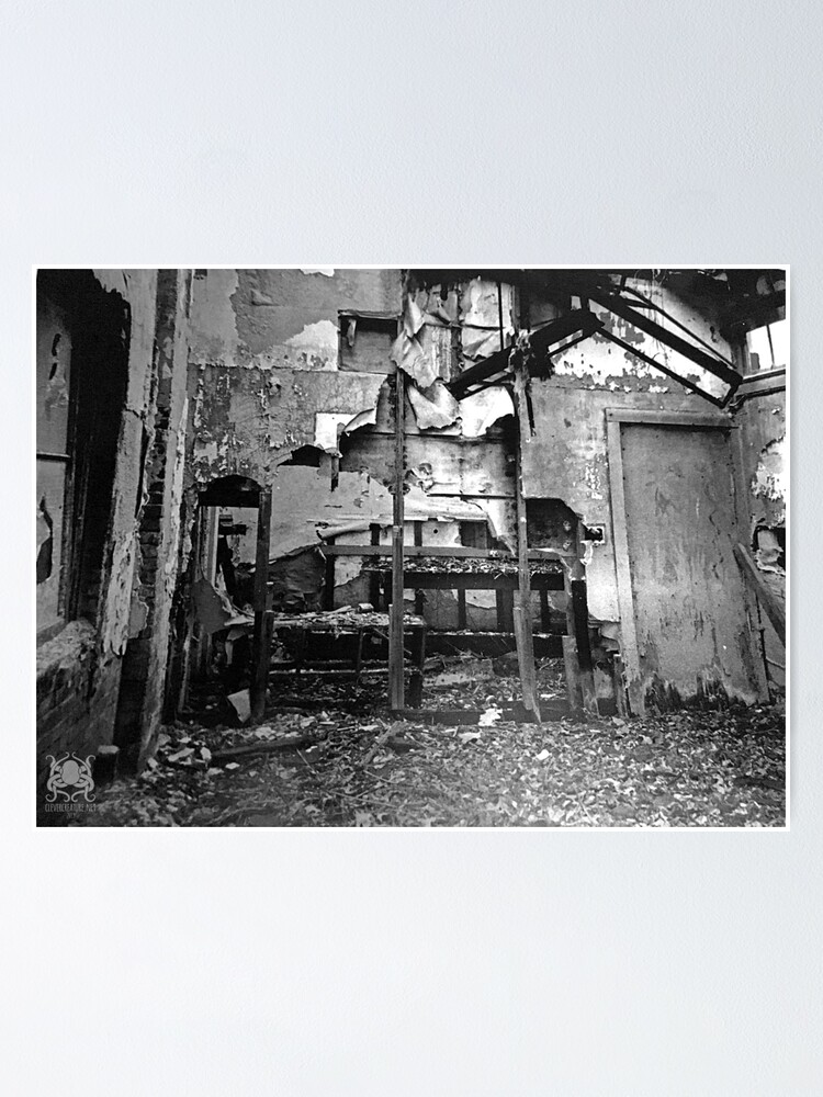 "Decayed Walls" Poster for Sale by clevercreature | Redbubble