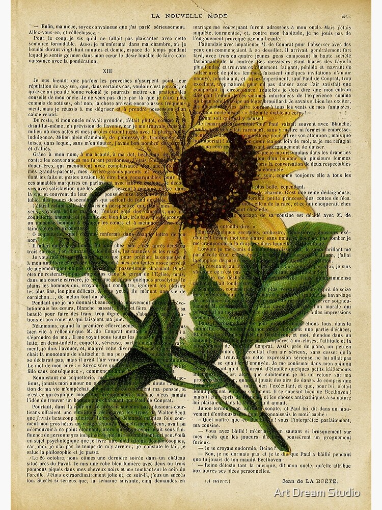 "Botanical print, on old book page - flowers- Sunflower " Spiral ...