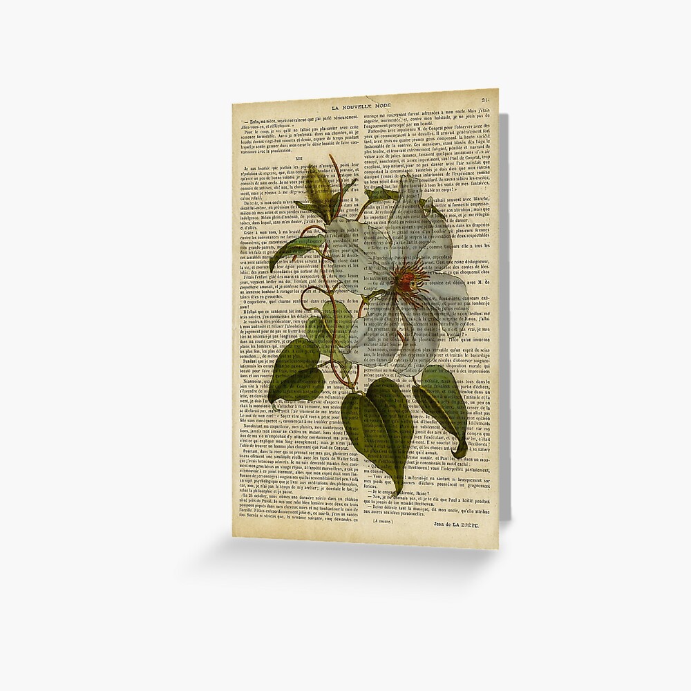 "Botanical print, on old book page - flowers- White magnolia" Greeting ...