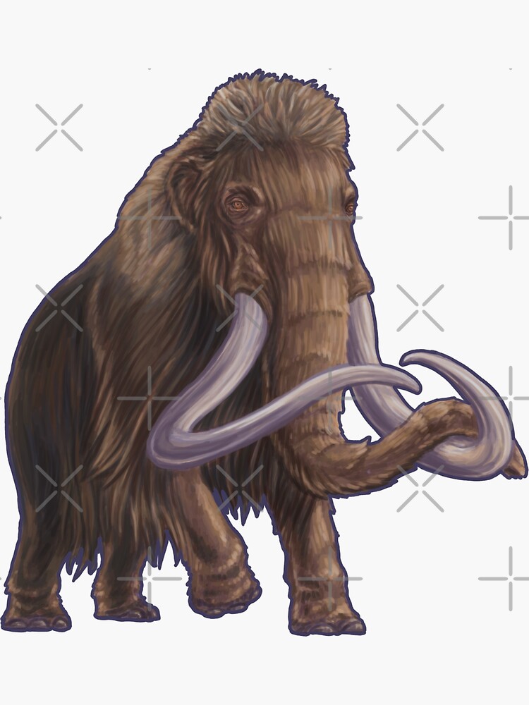 "Mammuthus primigenius (Woolly Mammoth)" Sticker for Sale by ...
