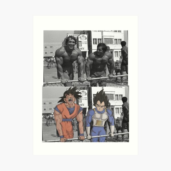 "DBZ GYM" Art Print by Travidas | Redbubble