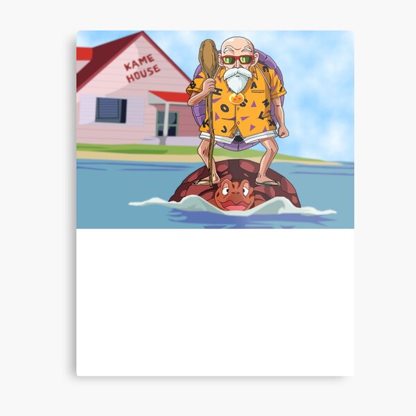 Turtle Hermit Metal Prints | Redbubble