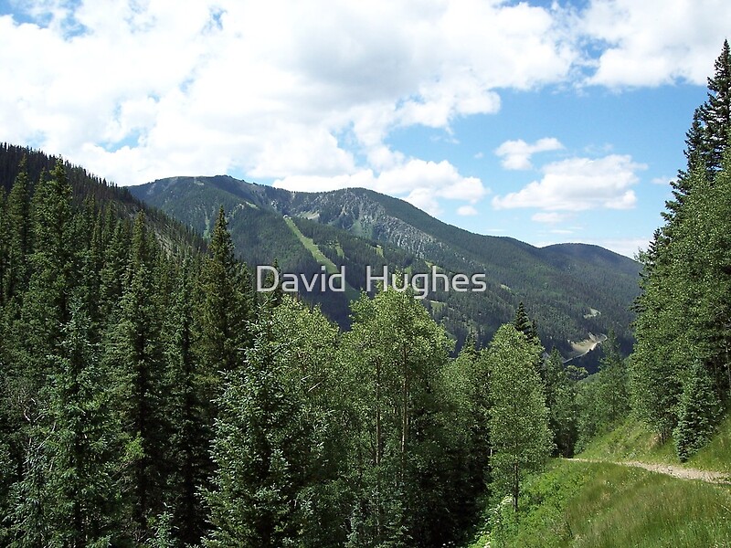 "Taos sky valley, New Mexico(Carson National Forest)" by David Hughes ...