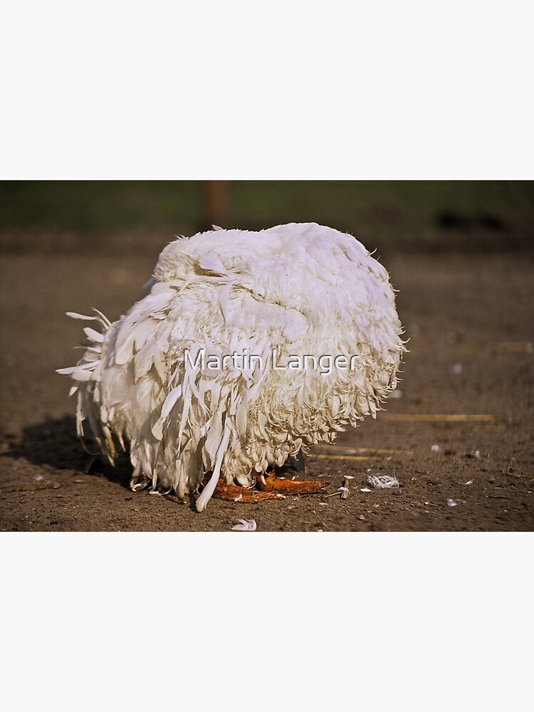 "Headless duck" Poster for Sale by Seltsamer | Redbubble