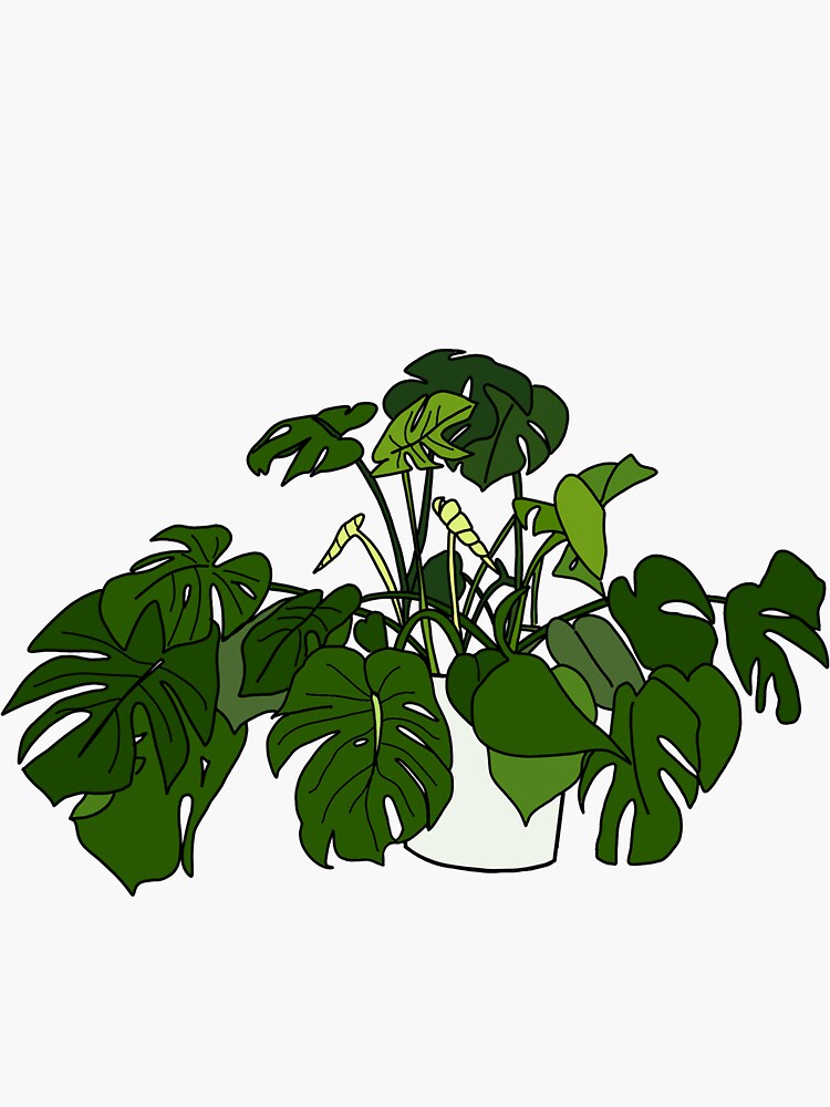 "Sheila" Sticker for Sale by gigikar | Redbubble