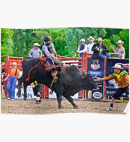 Bull Riding Posters | Redbubble