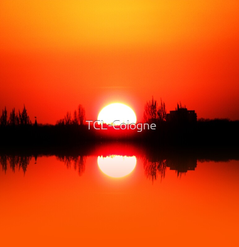 "Sunny Side" by TCL-Cologne | Redbubble