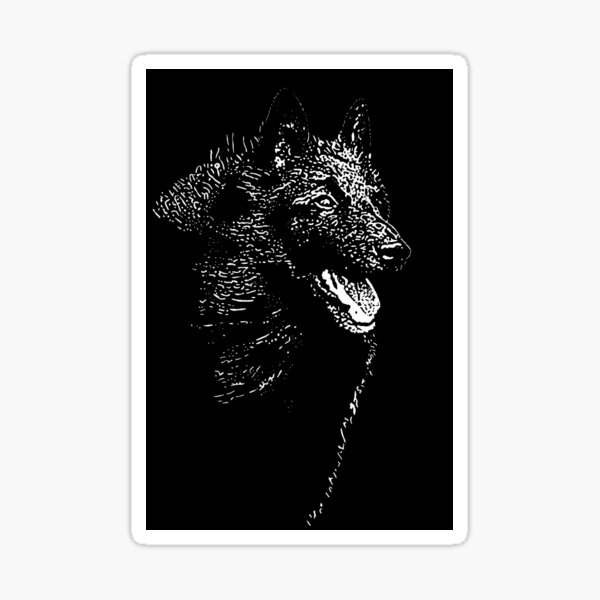 "Groenendael " Sticker for Sale by childofthecorn | Redbubble