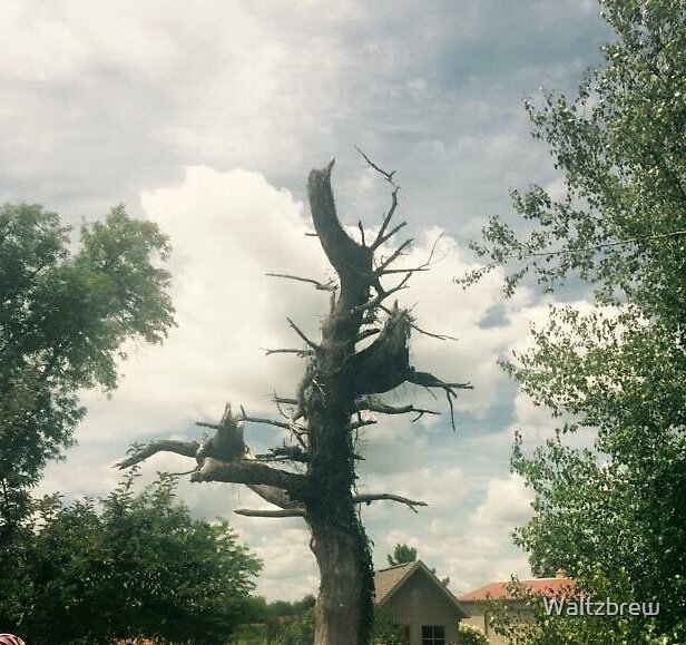 "Tree of Eternity" by Waltzbrew | Redbubble