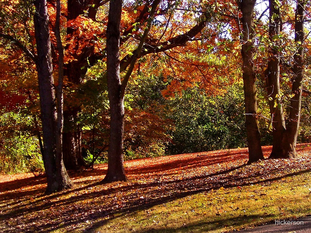 "Cherokee Landscape" by hickerson | Redbubble