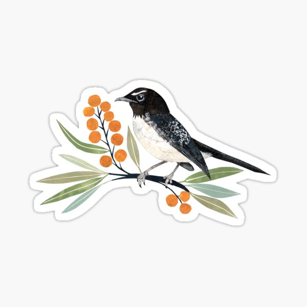 "Willy Wagtail on Wattle Branch" Sticker for Sale by Lesley Fitzpatrick ...