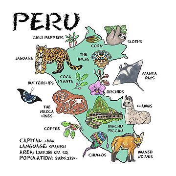 "Peru - illustrated map" Kids T-Shirt for Sale by BeeHappyShop | Redbubble