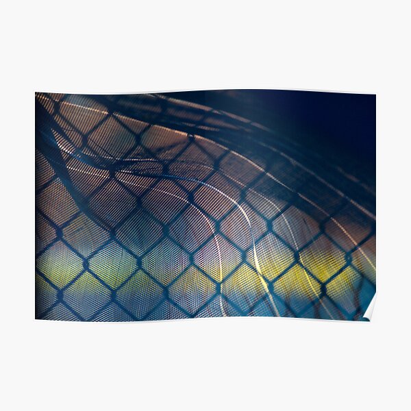 Tarp Posters | Redbubble