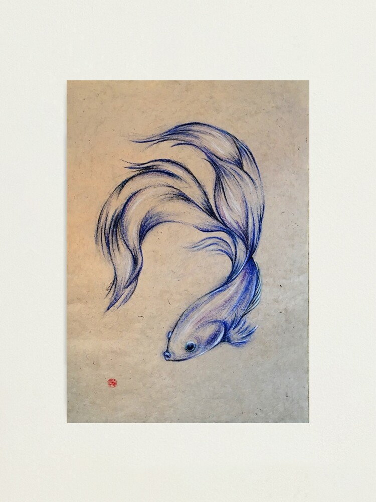 "Blue Angel - Siamese Fighting Fish Oil pastel on Paper Drawing ...