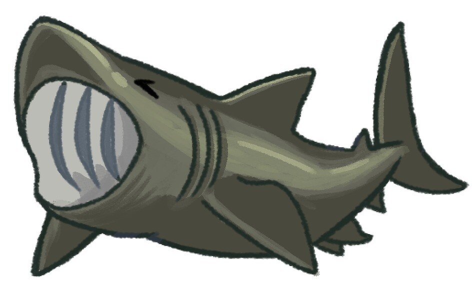 "Basking Shark Sticker by Orcagang" by TypusData | Redbubble