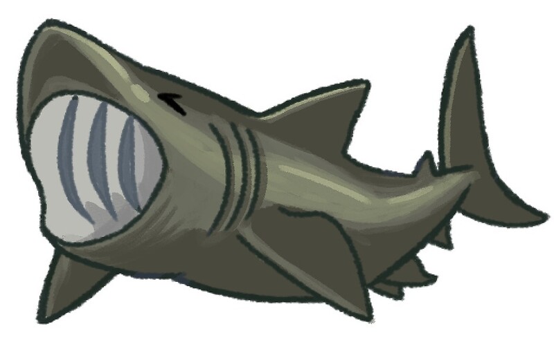 "Basking Shark Sticker by Orcagang" by TypusData | Redbubble