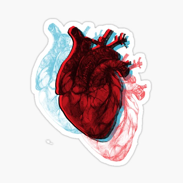 Cardiac Stickers | Redbubble