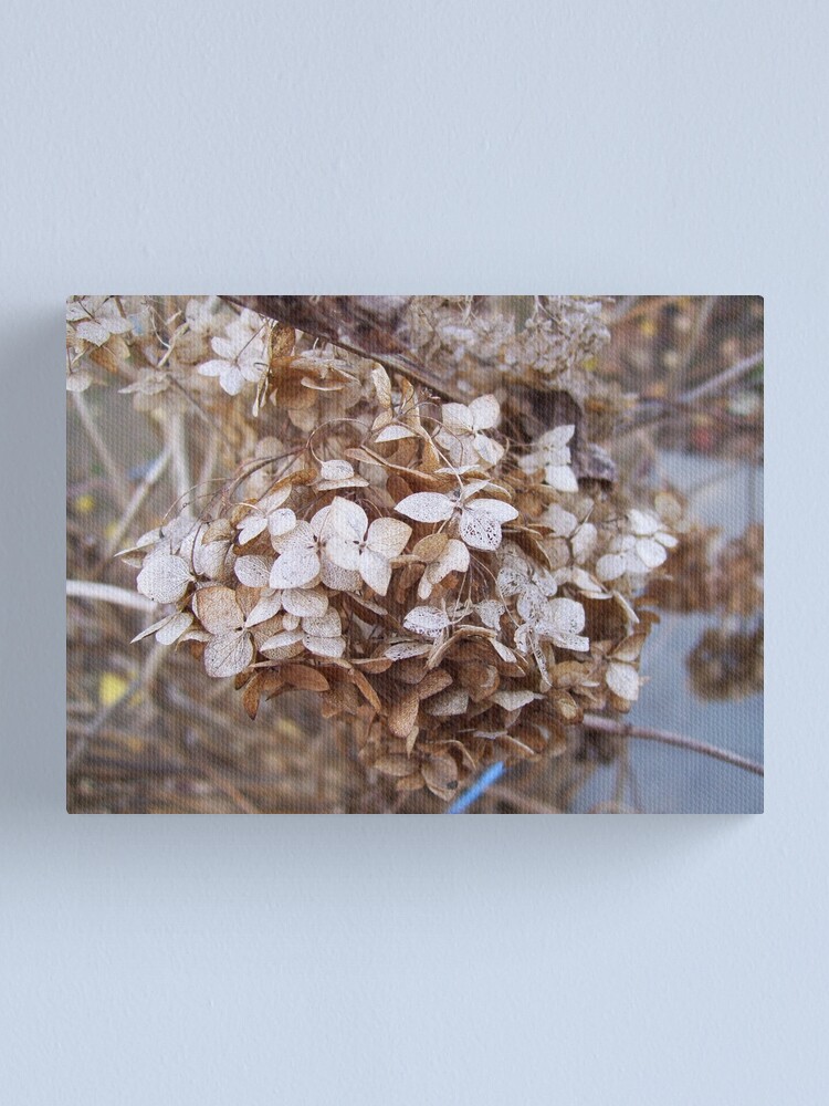 "Fragile" Canvas Print by demonkourai | Redbubble