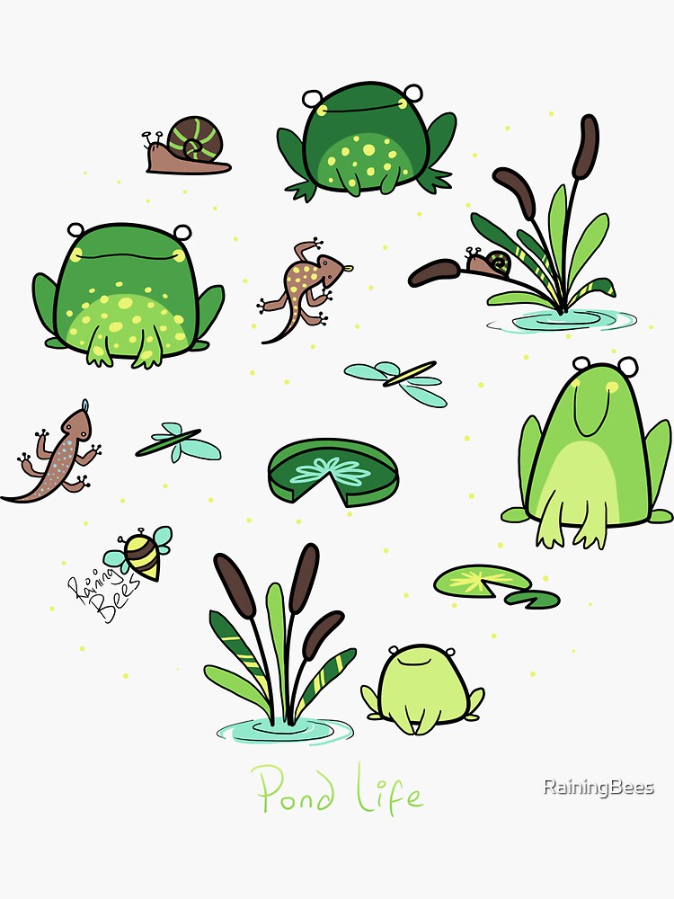"Pond Life" Sticker by RainingBees | Redbubble