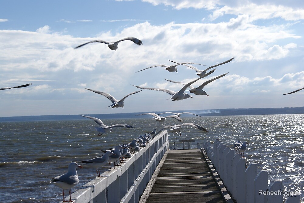 "Flight of seagulls, Grantville beach, Victoria" by Reneefroggy | Redbubble