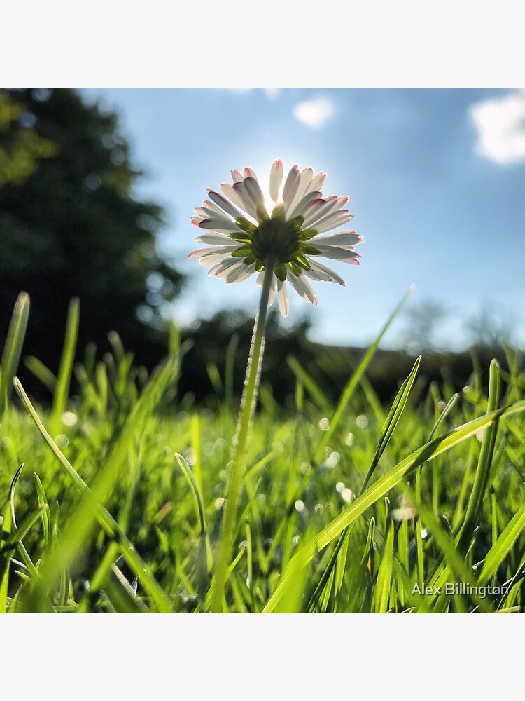 "Growing Strong" Poster by abillington | Redbubble