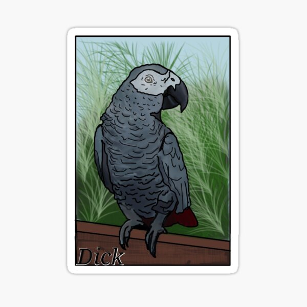 Craft Supplies & Tools Scrapbooking Outdoor Quality 1-3pc Package ...