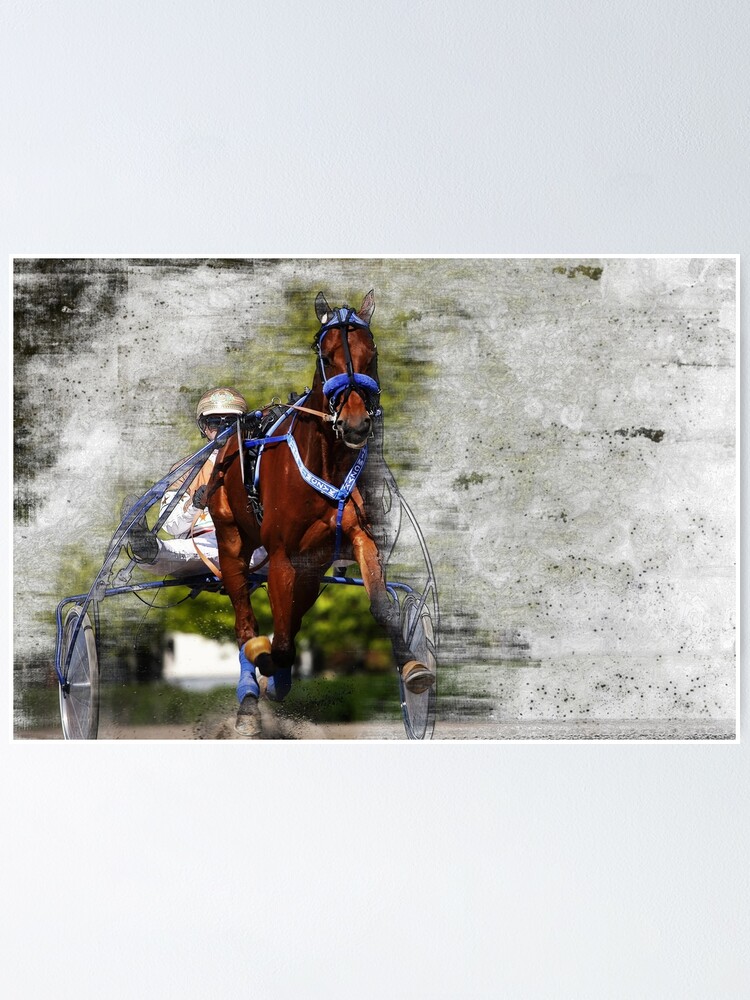 "harness horse cart racing 02" Poster by hottehue | Redbubble