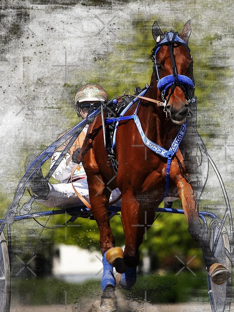 "harness horse cart racing 02" T-shirt for Sale by hottehue | Redbubble ...