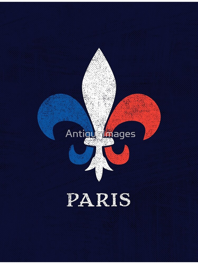 Fleur De Lys Blanche Logo