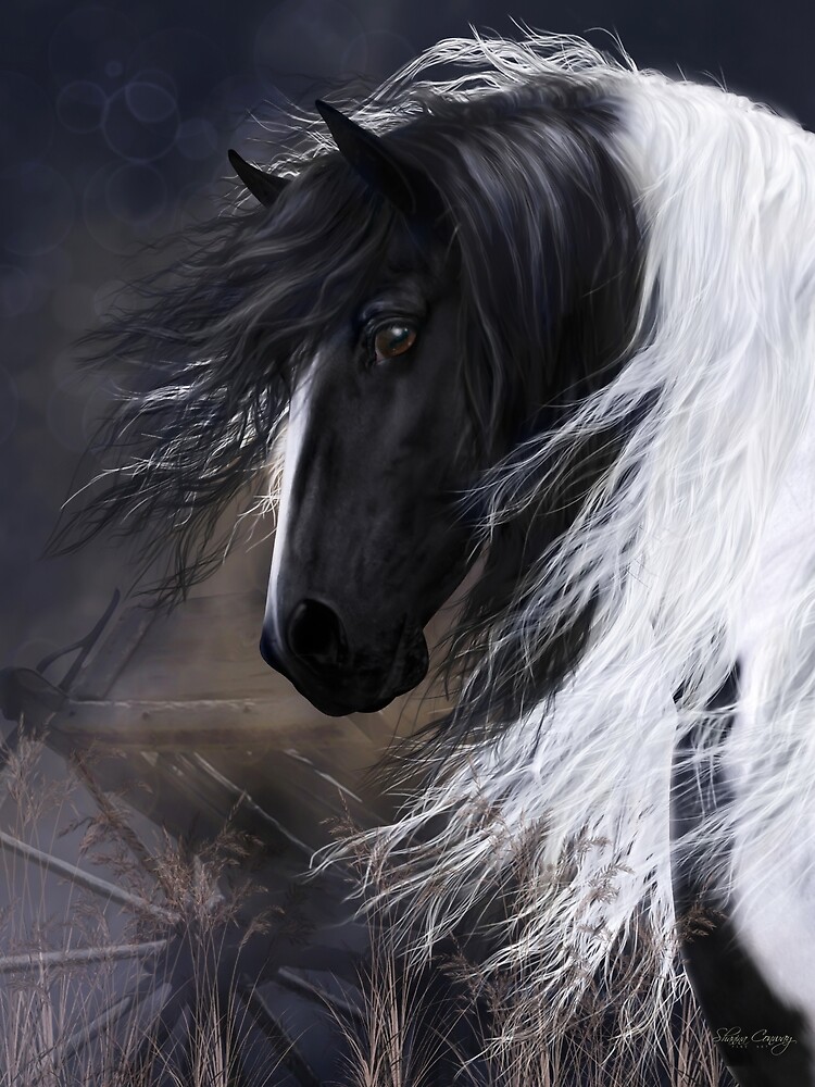 "Gypsy Vanner Portrait" by Shanina Conway | Redbubble