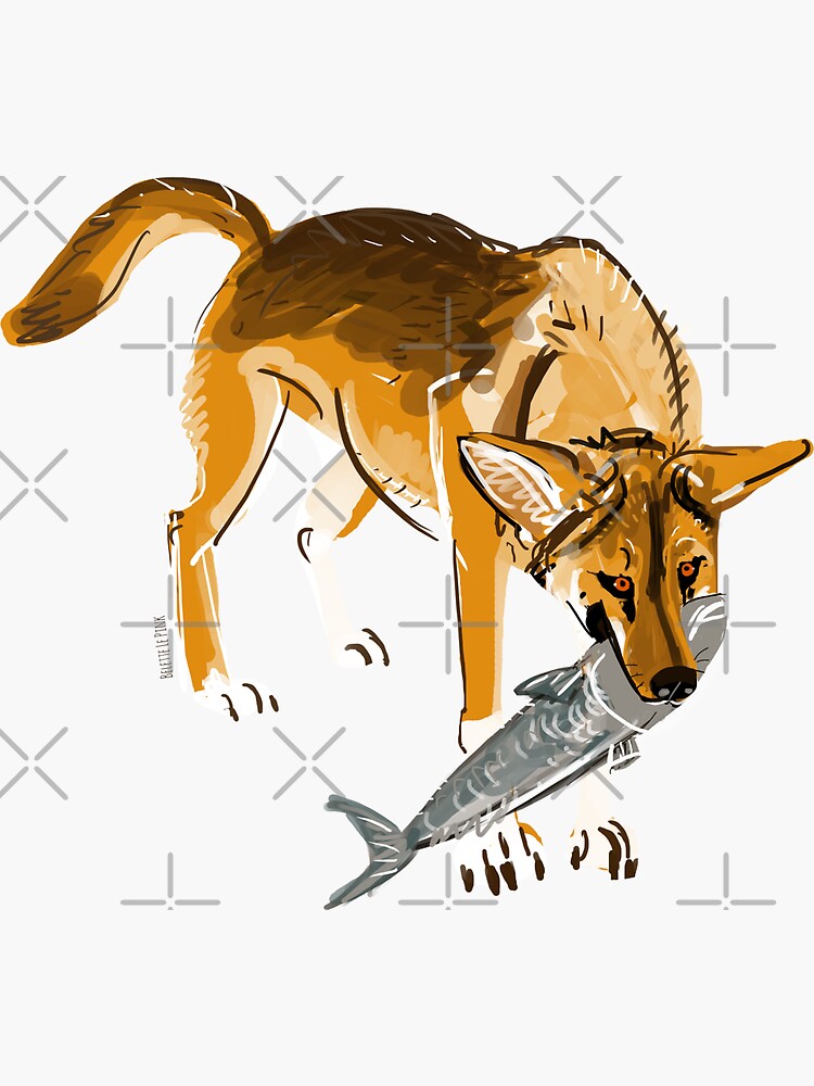 "Fraser Island Dingo" Sticker for Sale by belettelepink | Redbubble