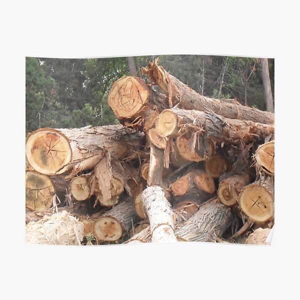 Deforestation Posters | Redbubble