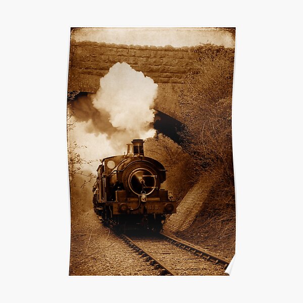 "Steam train going under bridge, Shepton Mallet, Somerset, UK" Poster ...