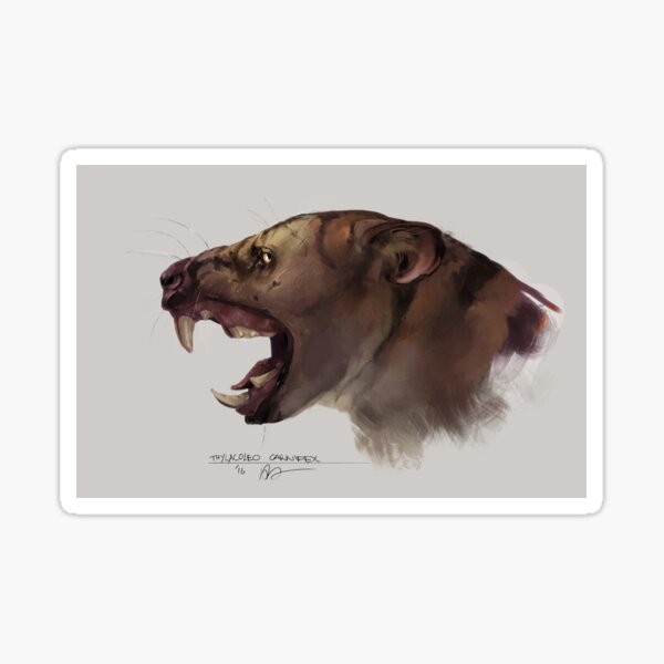 "Thylacoleo carnifex : the marsupial lion" Sticker for Sale by ...