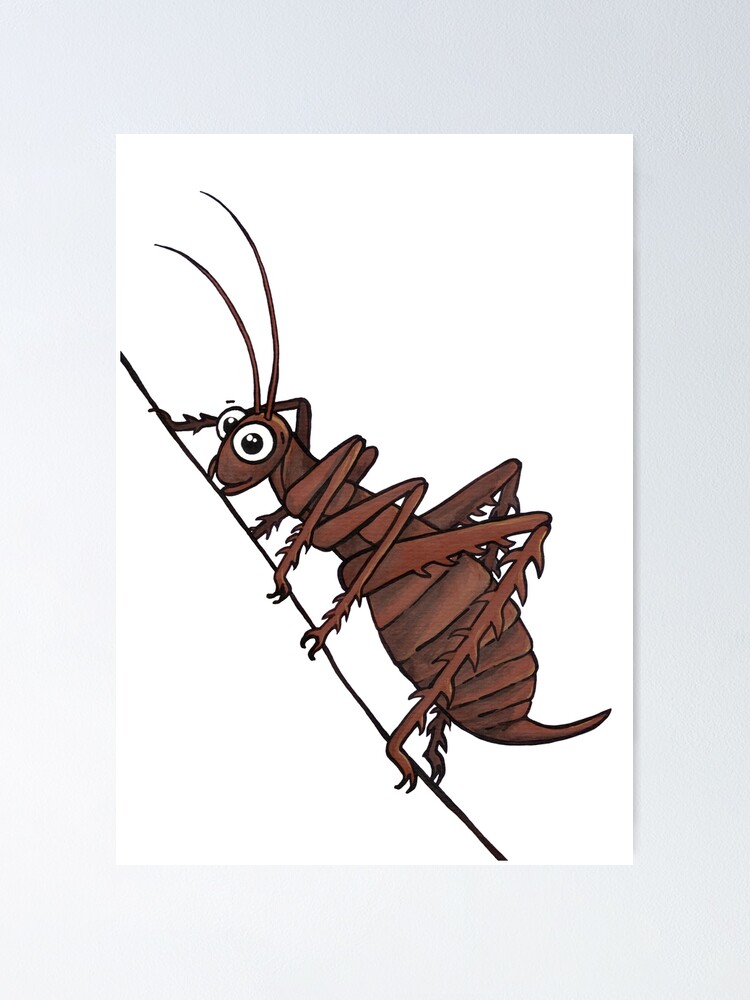 "Cute NZ Weta - clock ft. Te Reo Maori numbers" Poster for Sale by ...