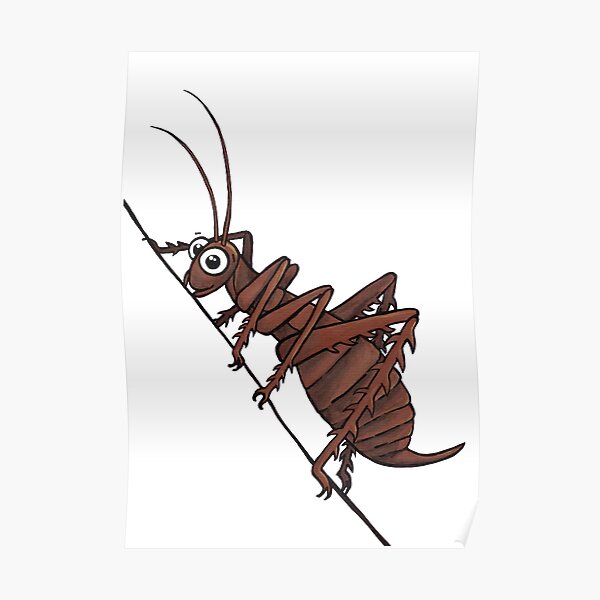 "Cute NZ Weta - clock ft. Te Reo Maori numbers" Poster for Sale by ...