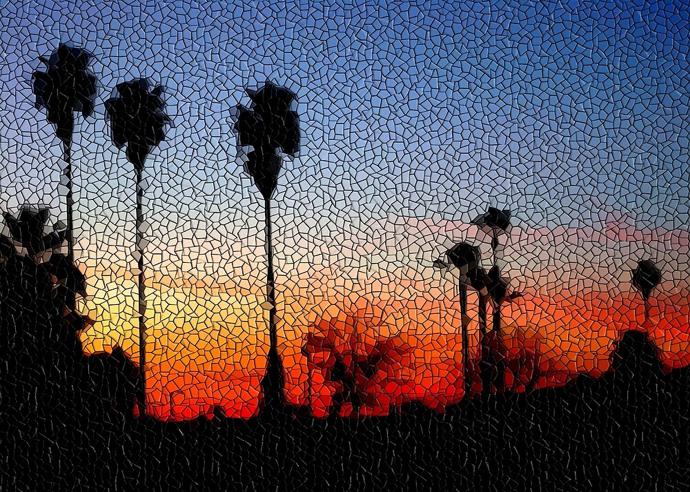 "Sunset Mosaic" by csouzas | Redbubble