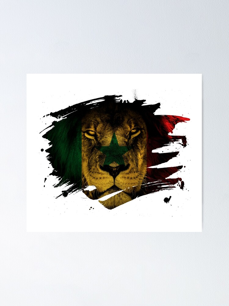 "Senegal Lion Flag Paint Splatter" Poster for Sale by ockshirts | Redbubble